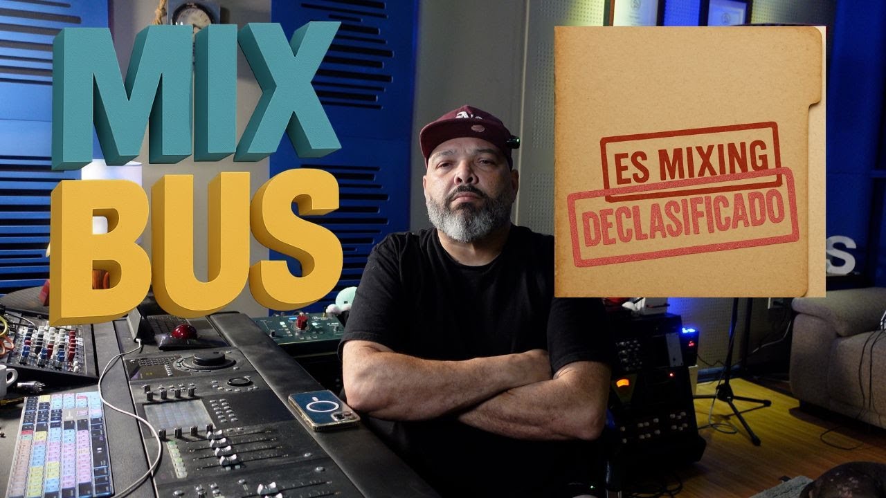 STEREO BUS ORGANICO - YouTube