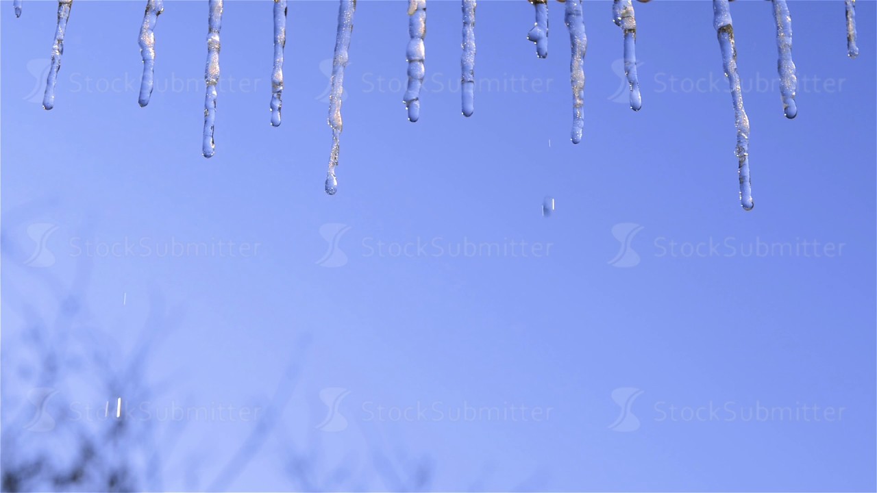 Icicle dripping closeup - YouTube