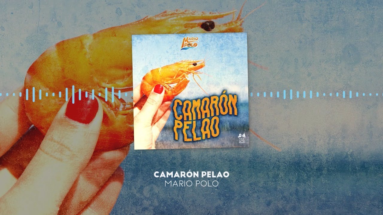 Mario Polo - Camarón Pelao (Video Lyric) - YouTube