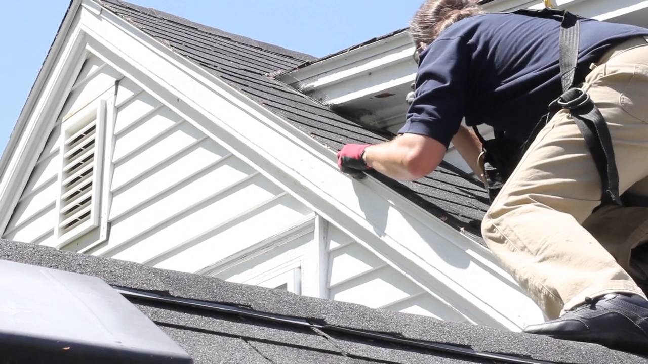 Colonial Pest Control - Bat Removal in MA & NH - YouTube