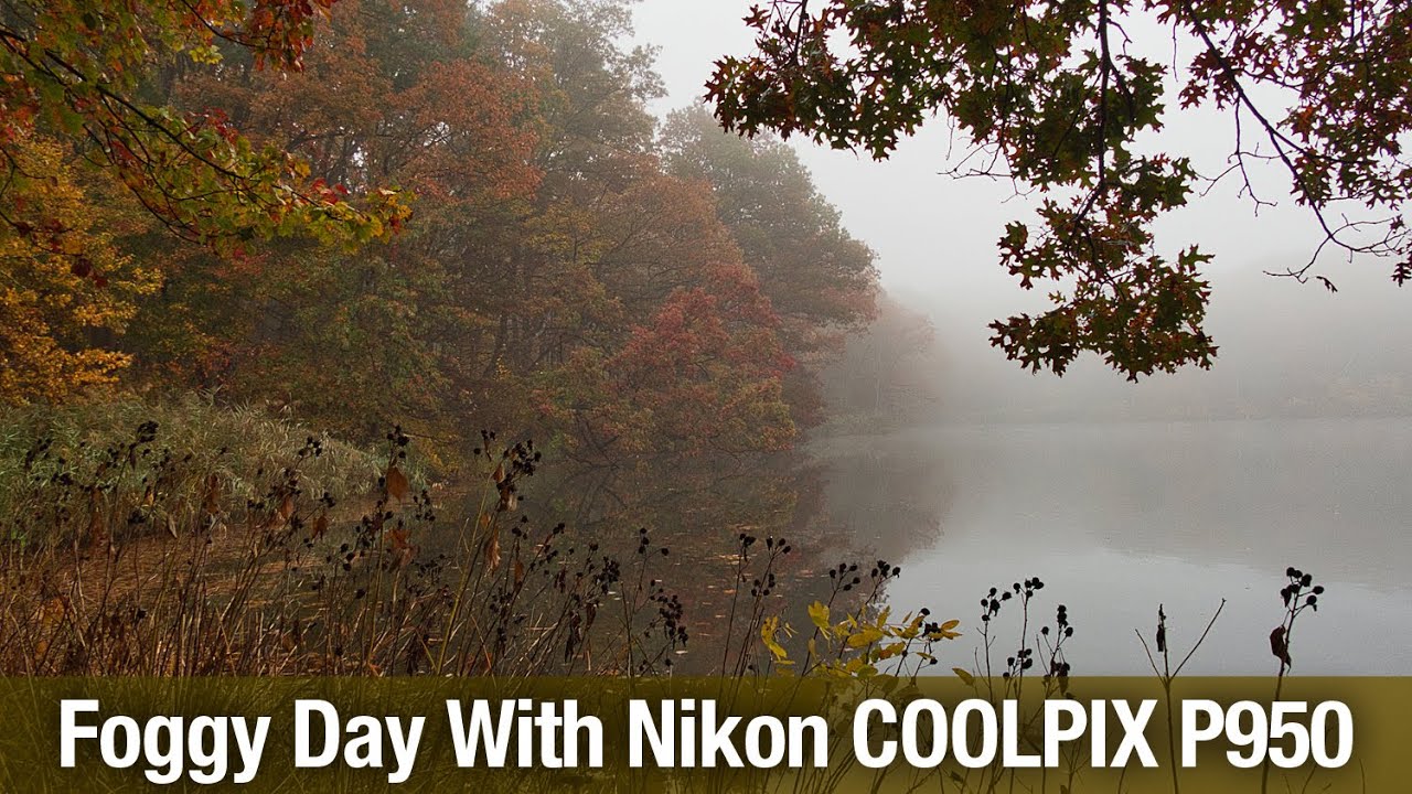 Foggy Day With Nikon COOLPIX P950 (10-30-2023) - YouTube