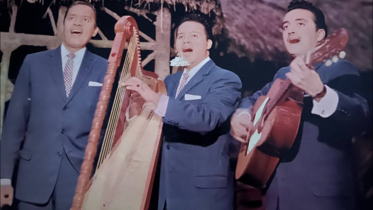 Trio Los Delfines - Amor No Fumes En La Cama - 🚬 🛏️ A4 - YouTube