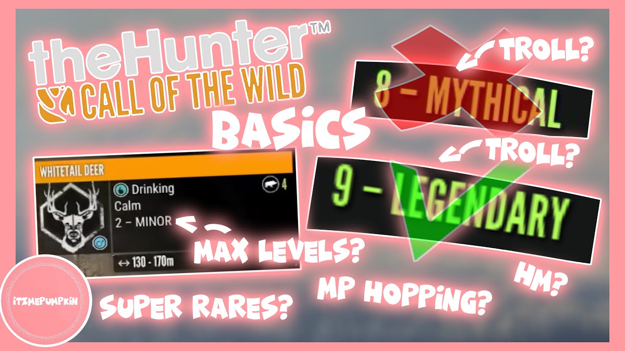 COTW BASICS - Strategies, Tips, and Terms! | theHunter: Call of the ...