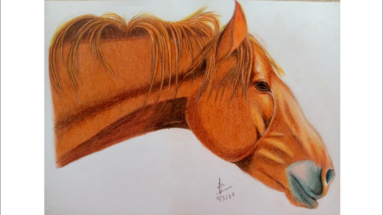 drawing-with-colour-pencil-youtube