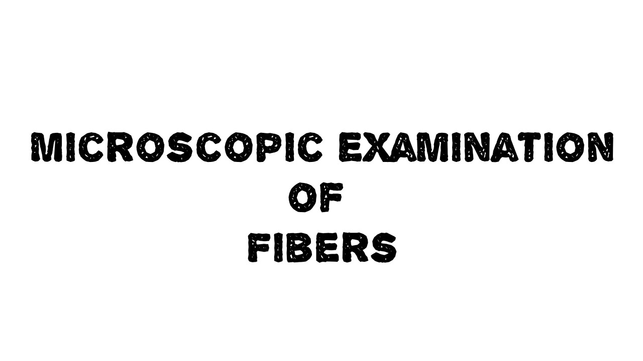 Microscopic and instrumental Examination of Fiber || Forensic Fiber ...