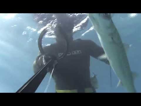 spearfishing 1-5 atm  episode 1