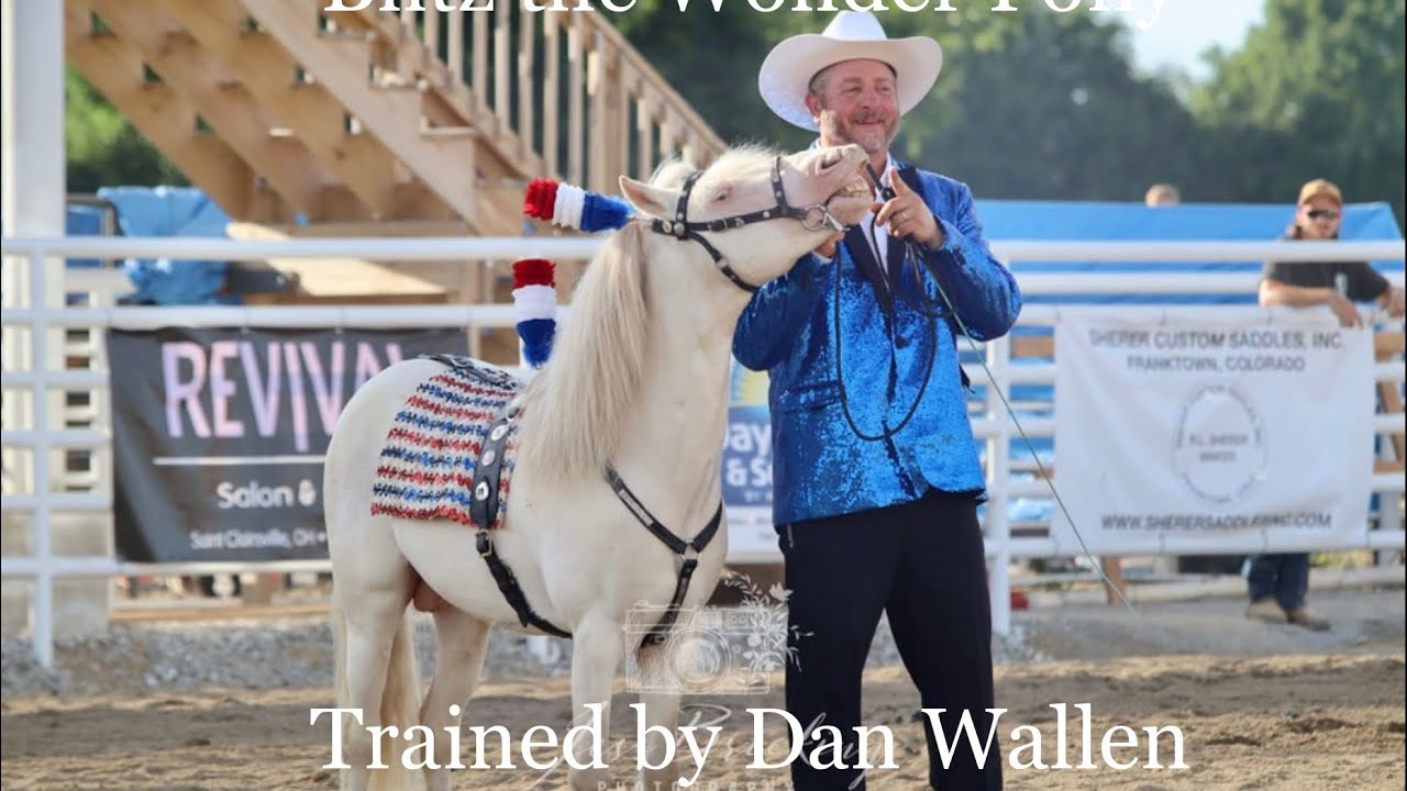 Dan Wallen & Blitz the Wonder Pony. Amazing tricks - YouTube