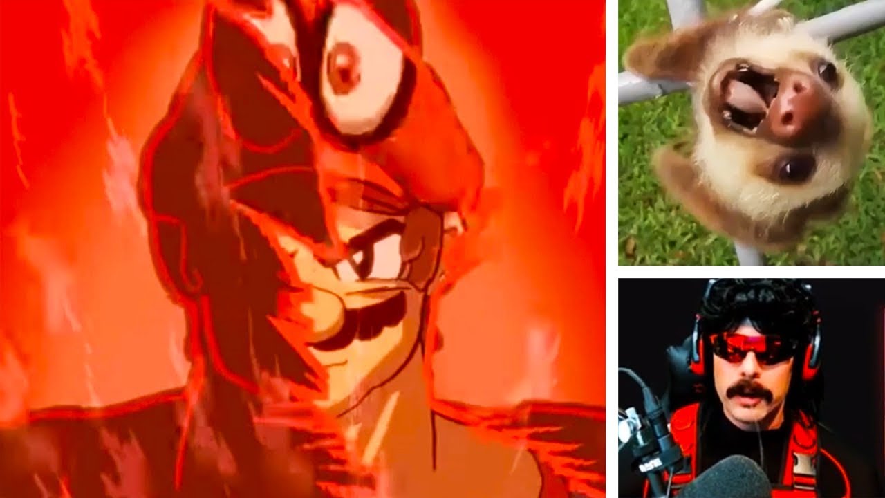 MARIO VS MEWTWO ANIME | Sloth literally falls to it's dea--- | Meme ...