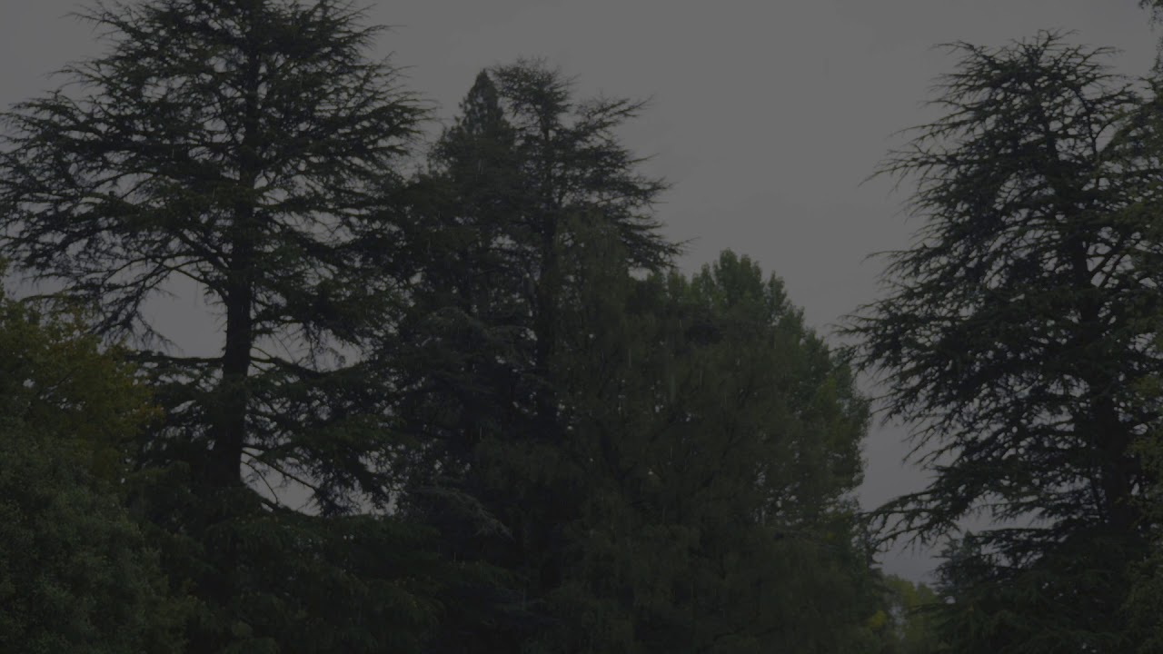 Sleepy RAIN Sounds for 10 hours | Rain for Sleeping, Insomnia Natural ...