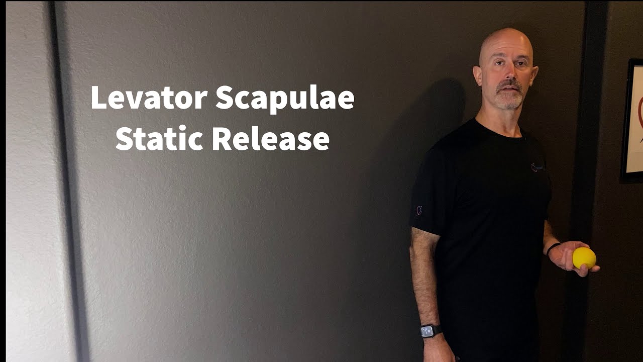 Levator Pattern - Static Release - YouTube