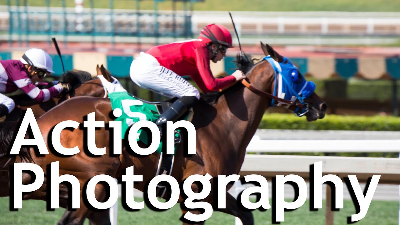Action Photography Using the Tamron 100-400mm Lens - YouTube