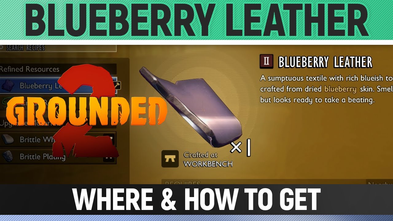 Grounded 2 - Blueberry Leather - Where & How to Get - YouTube