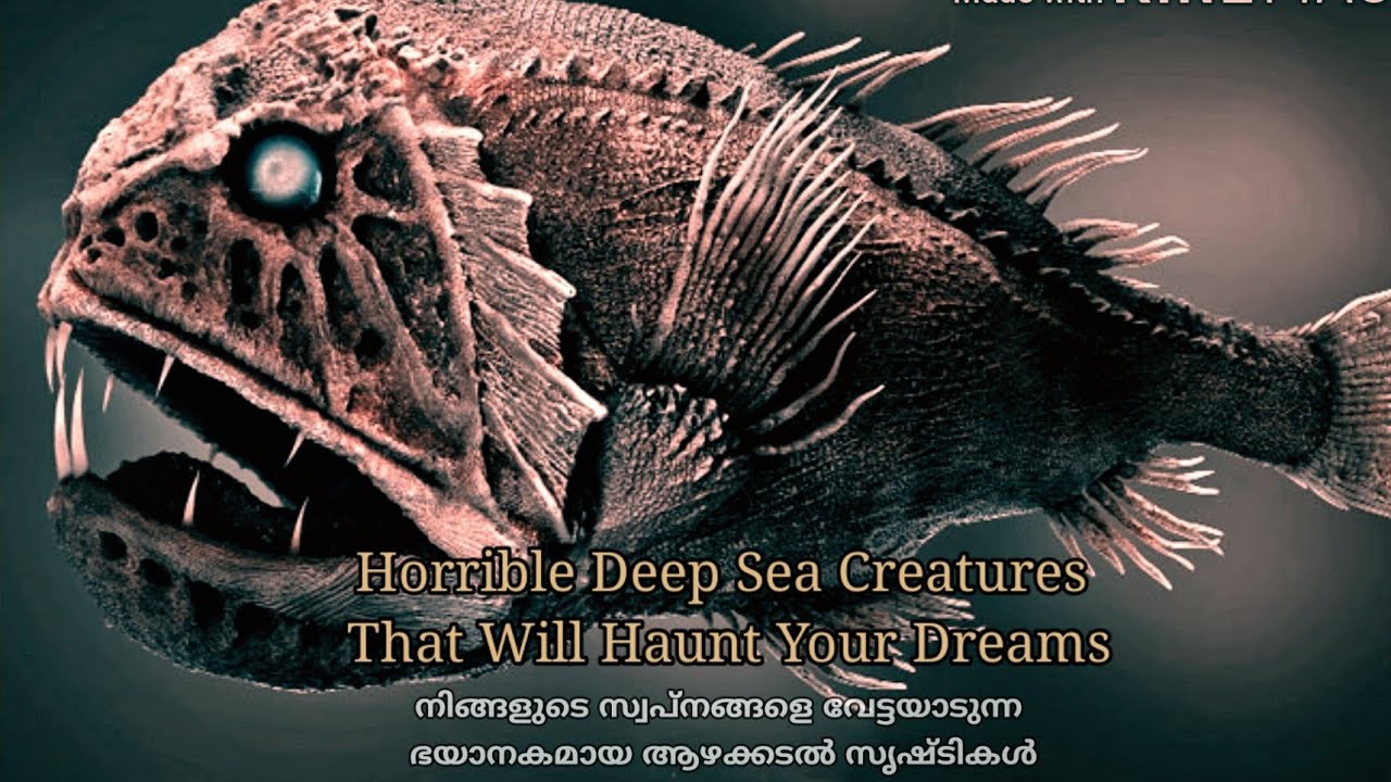Horrible Deep Sea Creatures YouTube horrible-deep-sea-creatures-youtube
