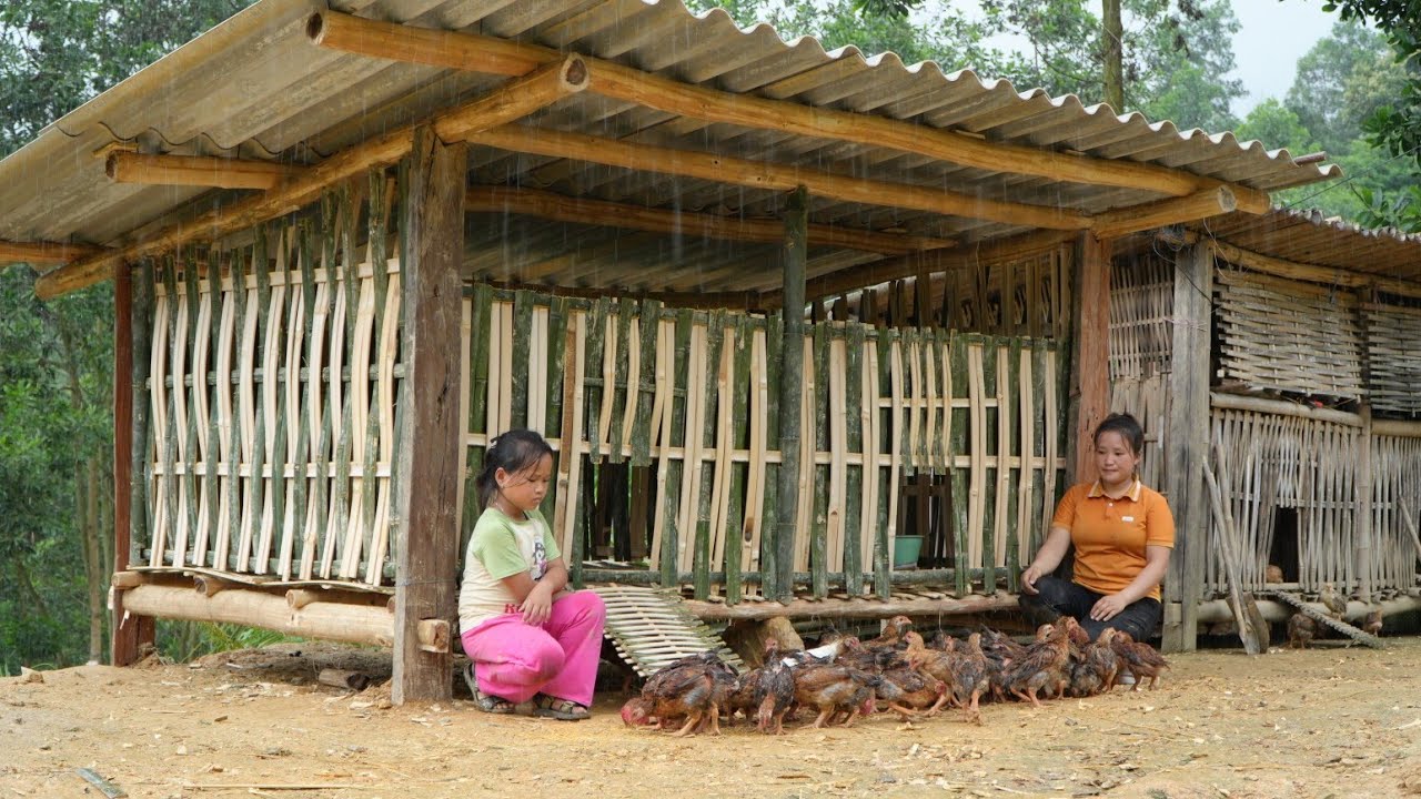 Build a bamboo coop for chickens, The smiles of mother and child every ...