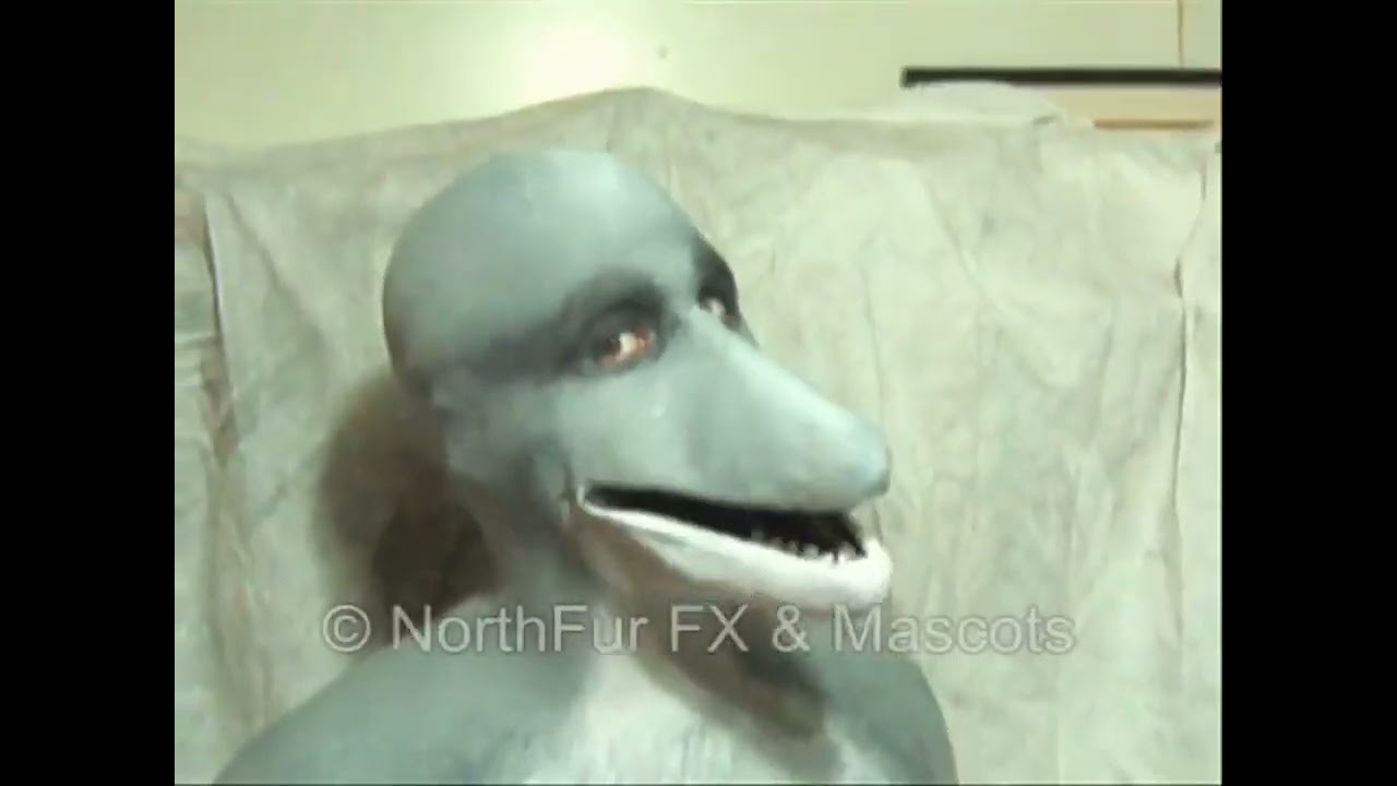 dolphin man - YouTube