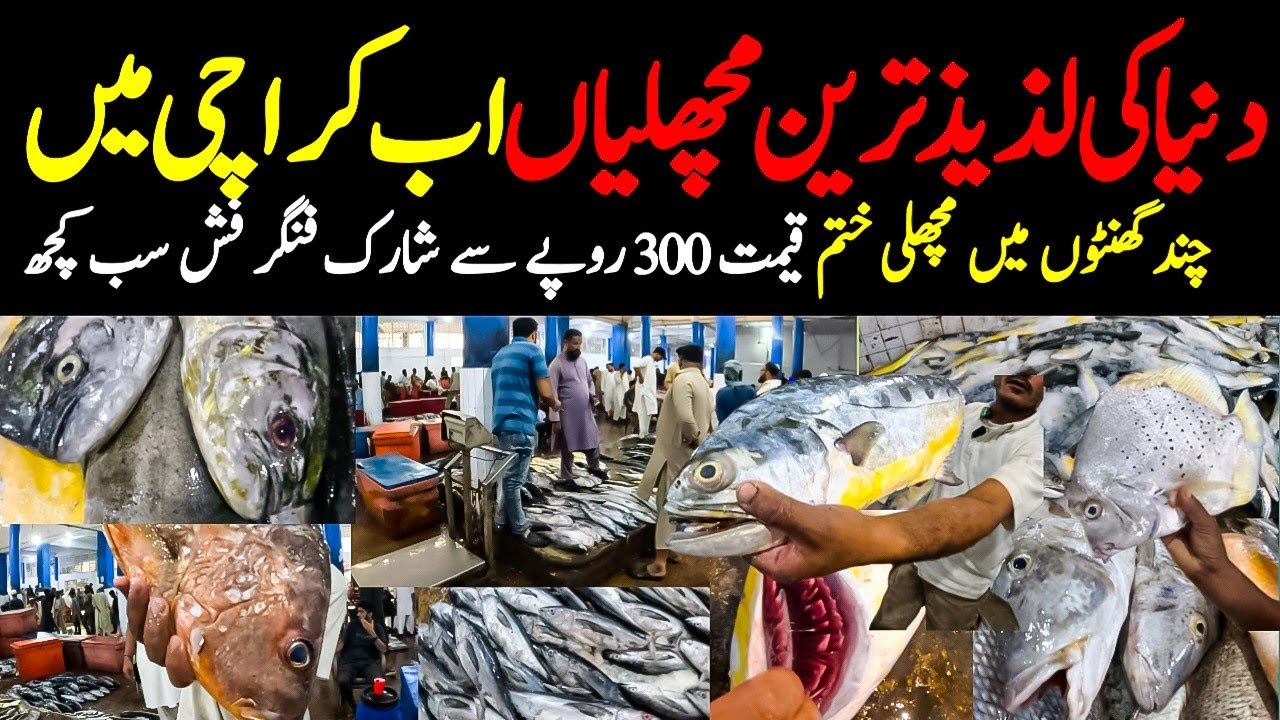 Karachi Fish harbour Biggest wholesale fish market @focus with fahim ...