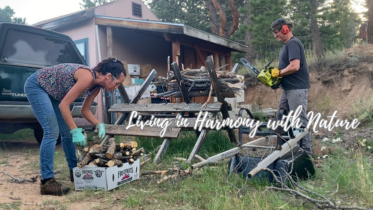 Healthy Living - A Slow Life in Harmony with Nature - Morning Rituals ...