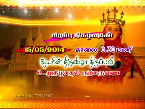 KUTHENKULY KITHERI AMMAAL - YouTube