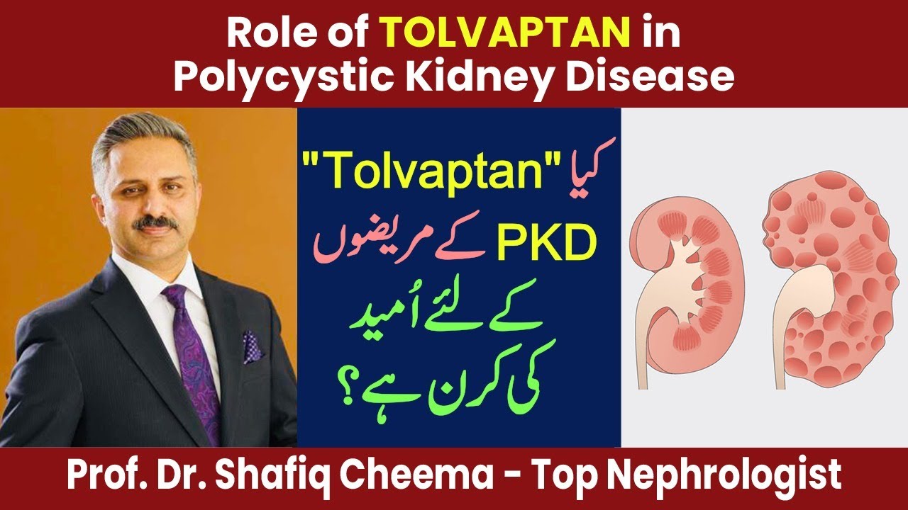 Role of Tolvaptan in Polycystic Kidney Disease or PKD #tolvaptan #pkd ...