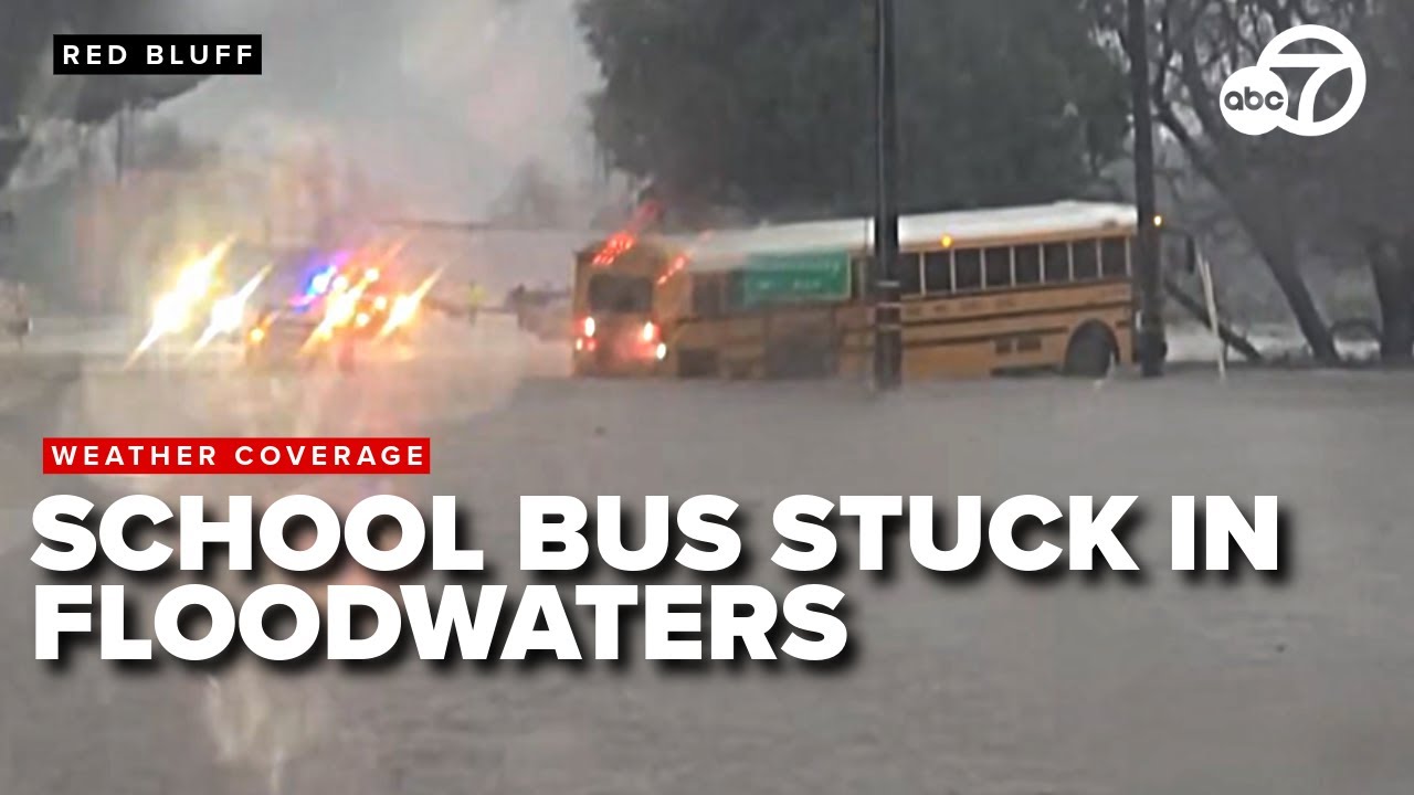 School bus caught in flooded roadway near Dairyville, caught on camera ...
