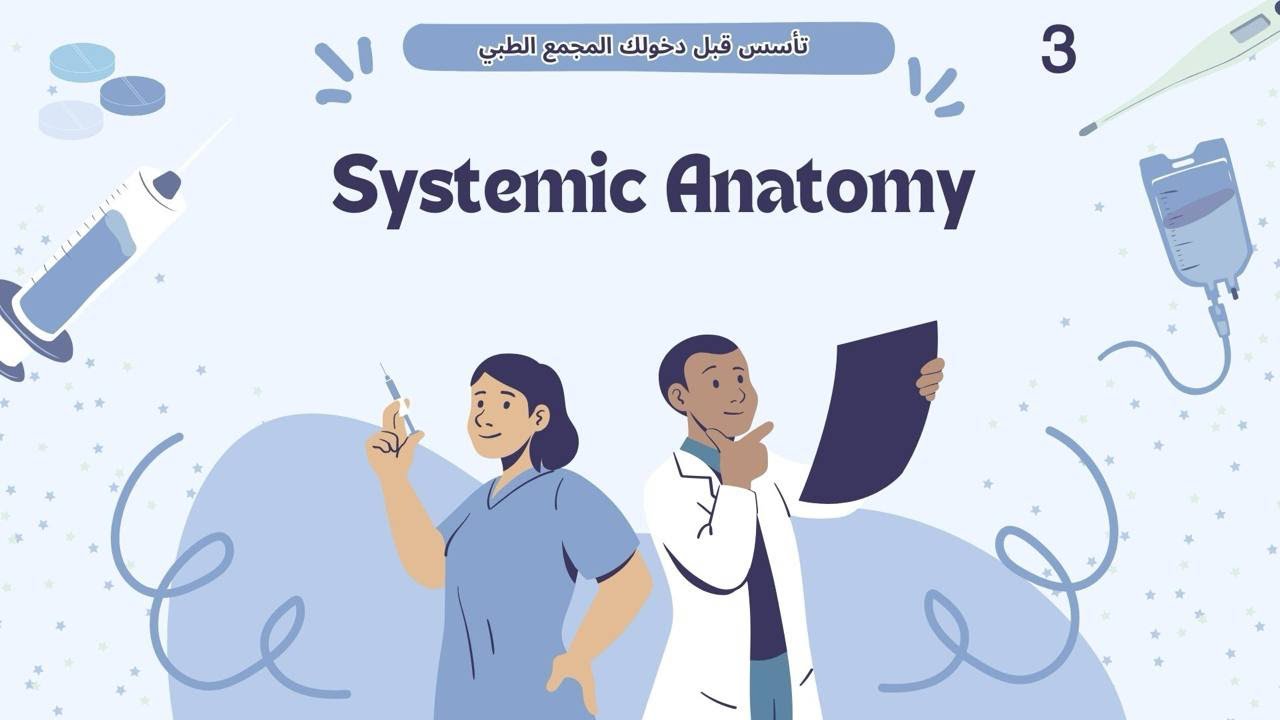 Systemic Anatomy - YouTube