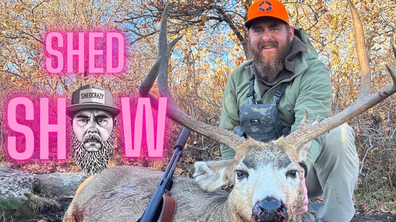 STACKING MULEY BUCKS (.30-30) - YouTube