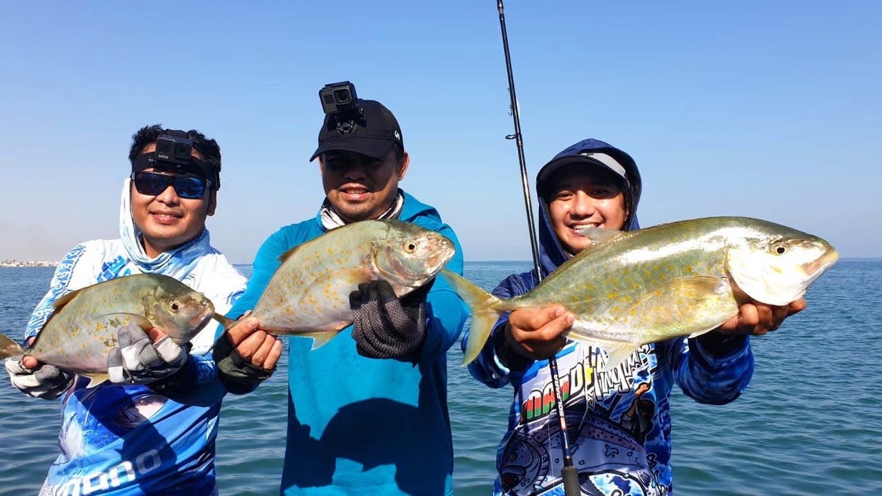 Find out How Effective Sabiki Rig is? on Yellow Spotted Trevally - YouTube