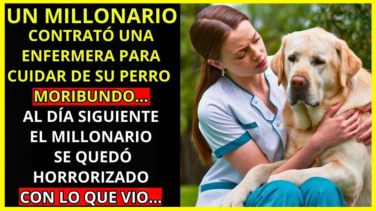 MILLONARIO CONTRATÓ UNA ENFERMERA PARA CUIDAR DE SU PERRO MORIBUNDO ...