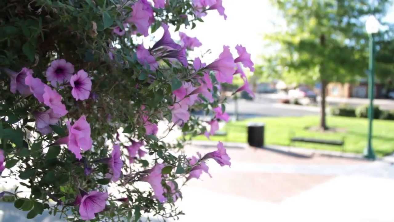 Mark Pyper for Eagle City Council - Downtown Eagle - YouTube