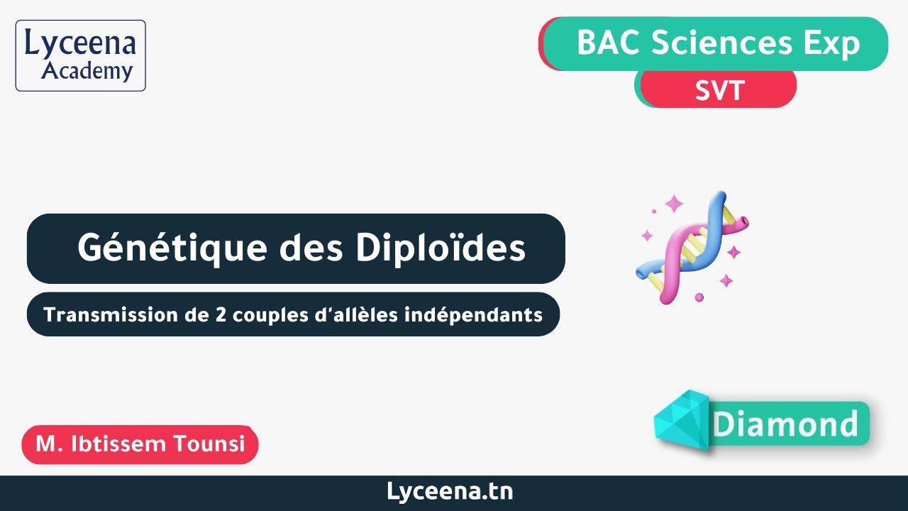 BAC | SVT | Génétique des Diploïdes : Transmission de 2 Couples d ...