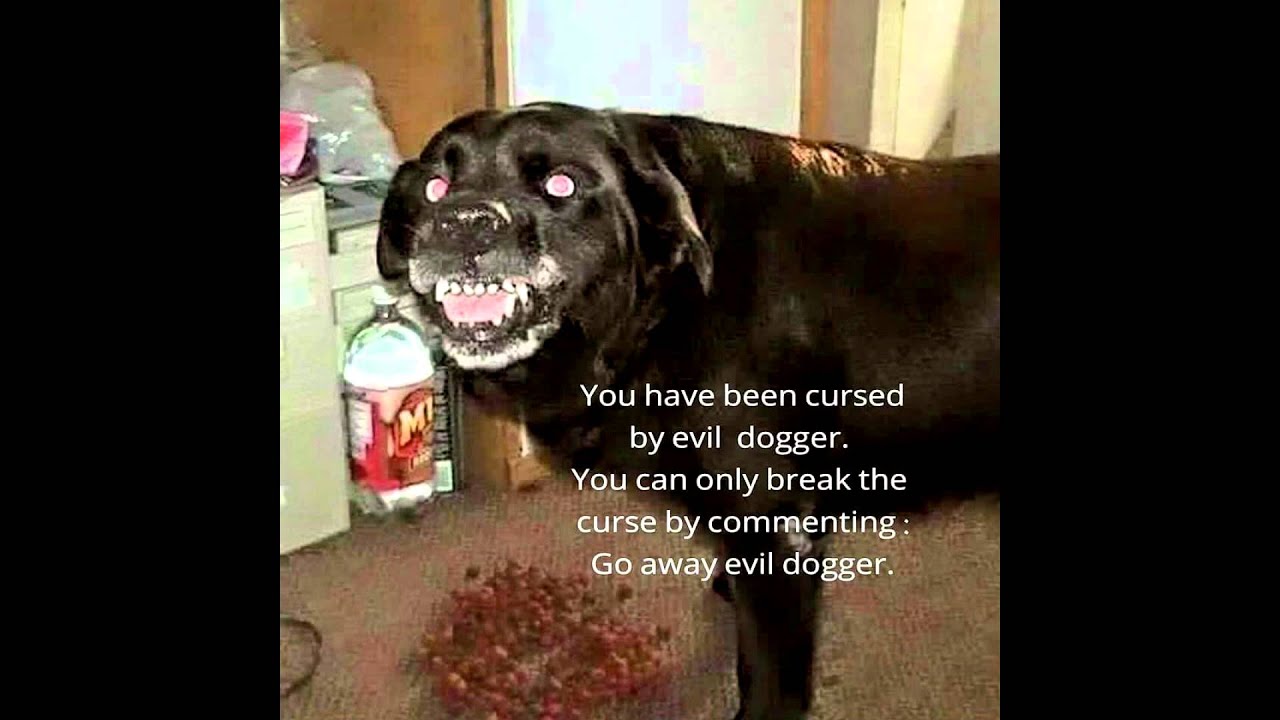 go away evil dogger EXTRA LOUD - YouTube