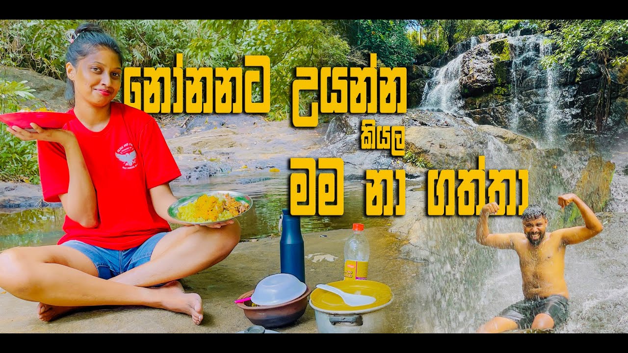 ඇල්ලට ගිහින් අපි හදපු සුපිරි LUNCH මෙනූ එක 😋 | Lunch by a Wild ...