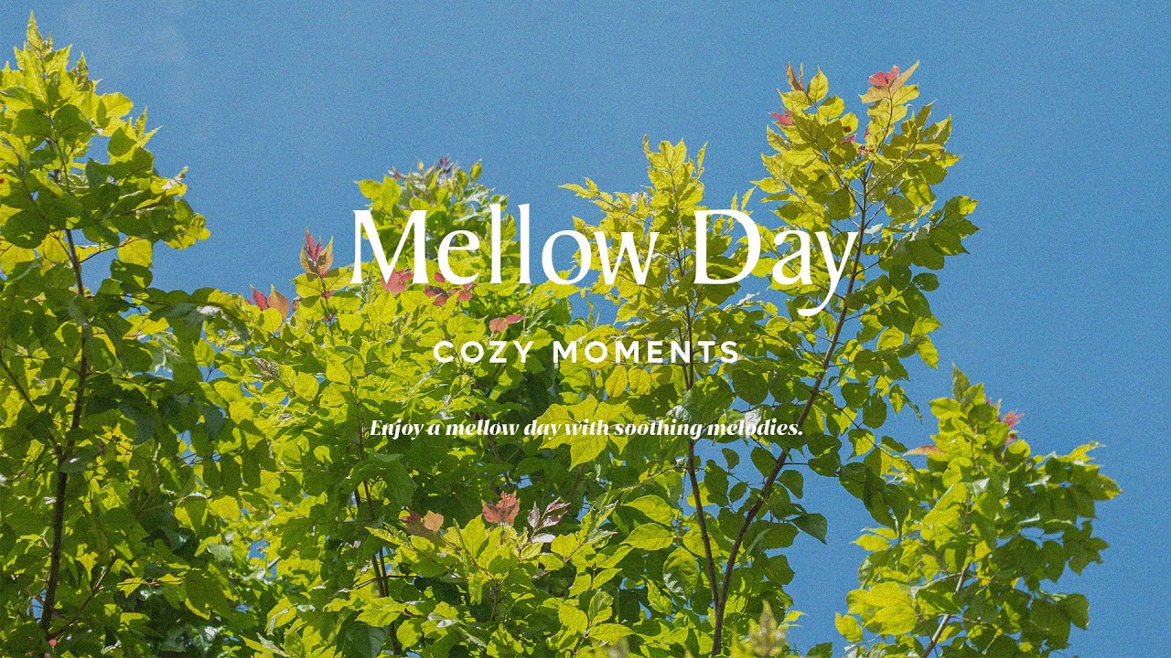 여름의 색과 7월의 풍경을 담은 피아노 선율 | Mellow Day - YouTube