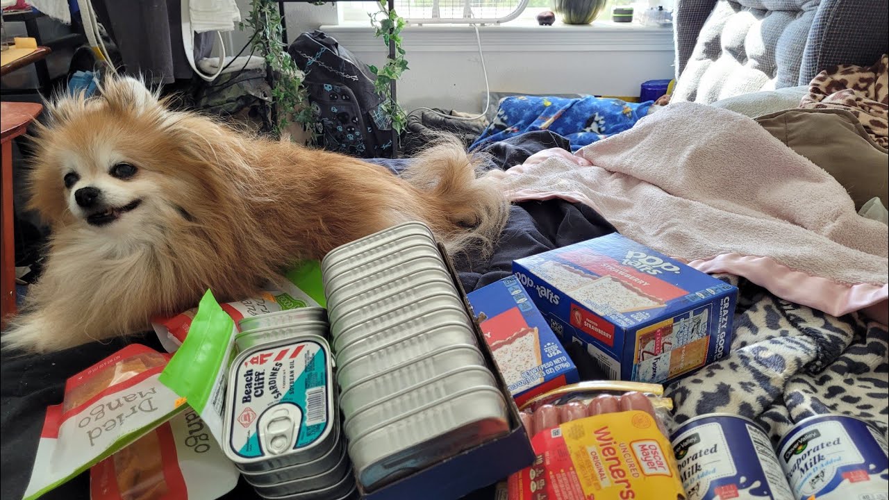 Multi Store Prepping Haul - Disabled and Prepping - YouTube