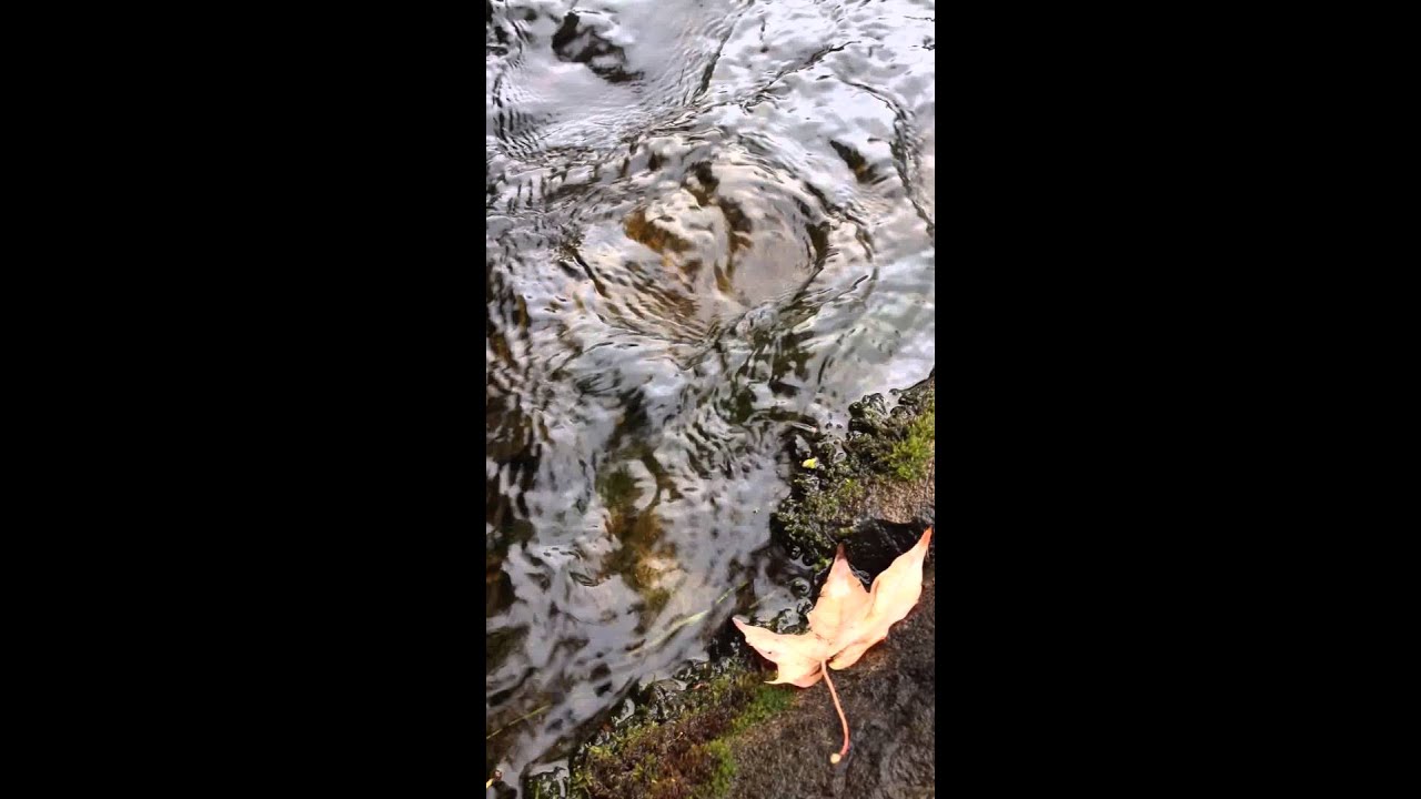 30 seconds of water lapping at the edge of a pond - YouTube