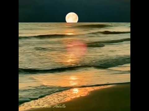 Səni unuda bilmirəm \