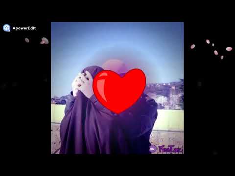 whatsapp status ucun