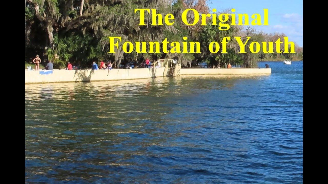 Ocala Nat. Forest Salt Spring Campground and Surrounding Campgrounds ...