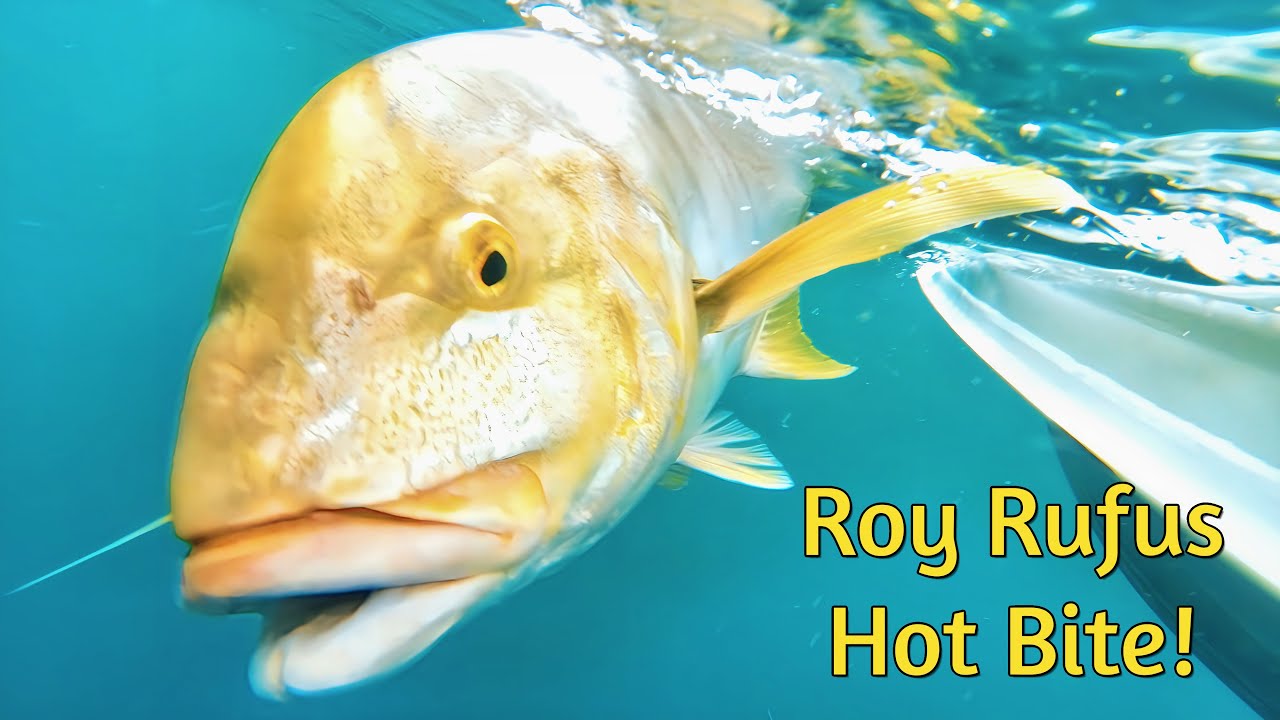 🐟 Drift Fishing Roy Rufus Artificial Reef – Hervey Bay Hotspot - YouTube