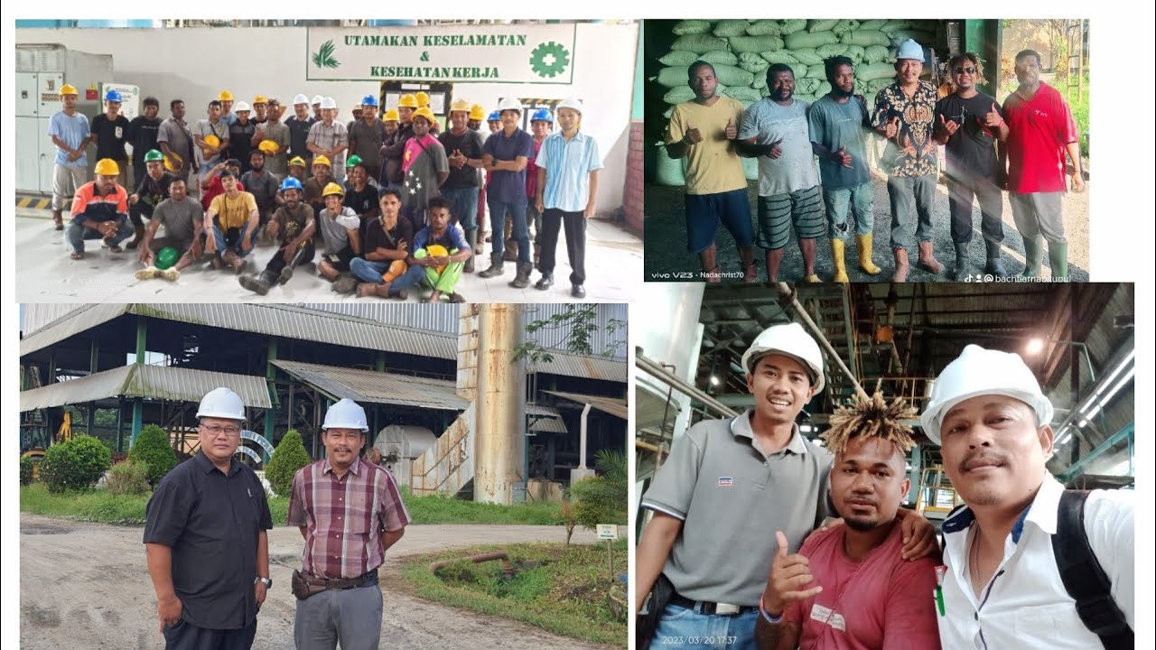 PENGENALAN PABRIK KELAPA SAWIT. PT. HENRISON INTI PERSADA (SORONG ...