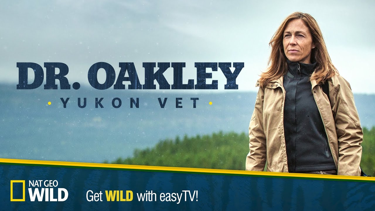 NatGeo Wild - Dr. Oakley Yukon Vet - YouTube