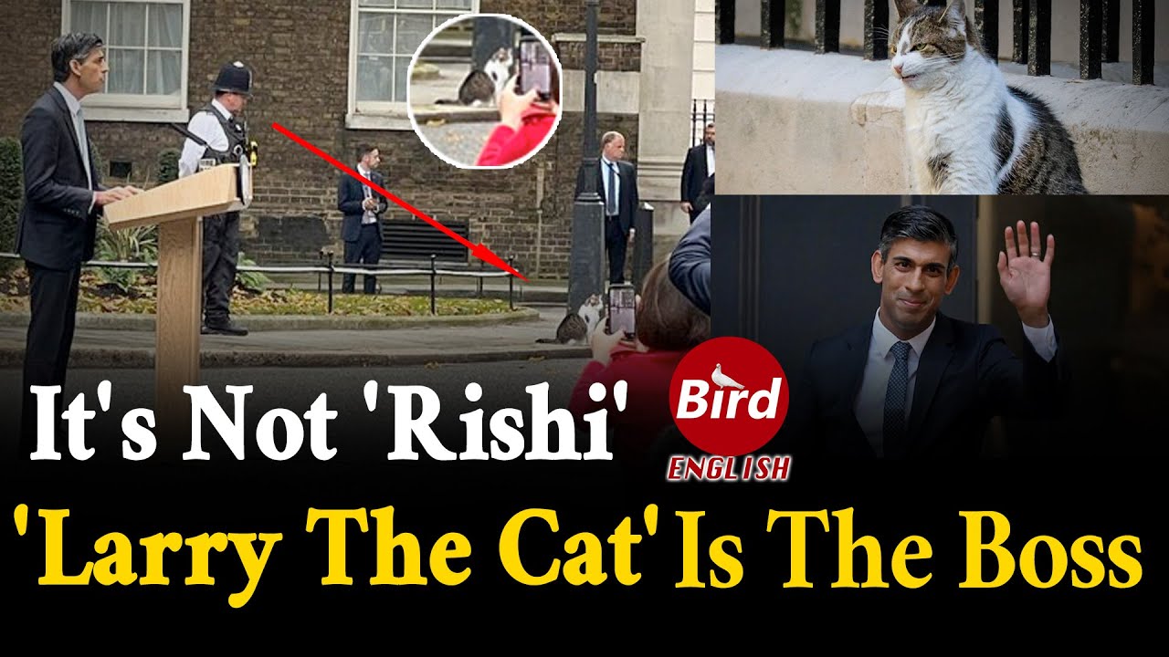 Larry The Cat Draws The Attention During Rishi Sunak's First speech as ...