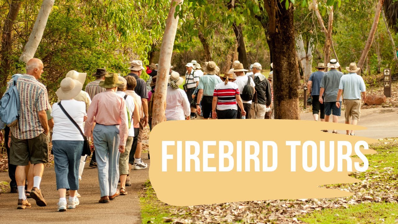 Reviews Of Firebird Tours
