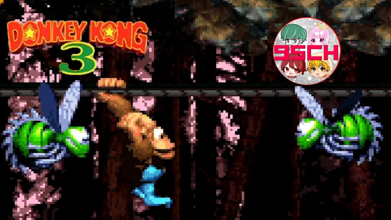 【SUPERドンキーコング3 #18】最終ダンジョン突入！1ステージ目から波乱の予感！w - YouTube