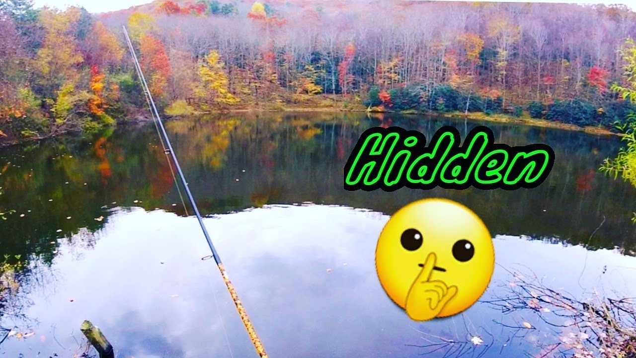 Beautiful Hidden Mountain Pond | Not on Fish Brain or Google Maps - YouTube