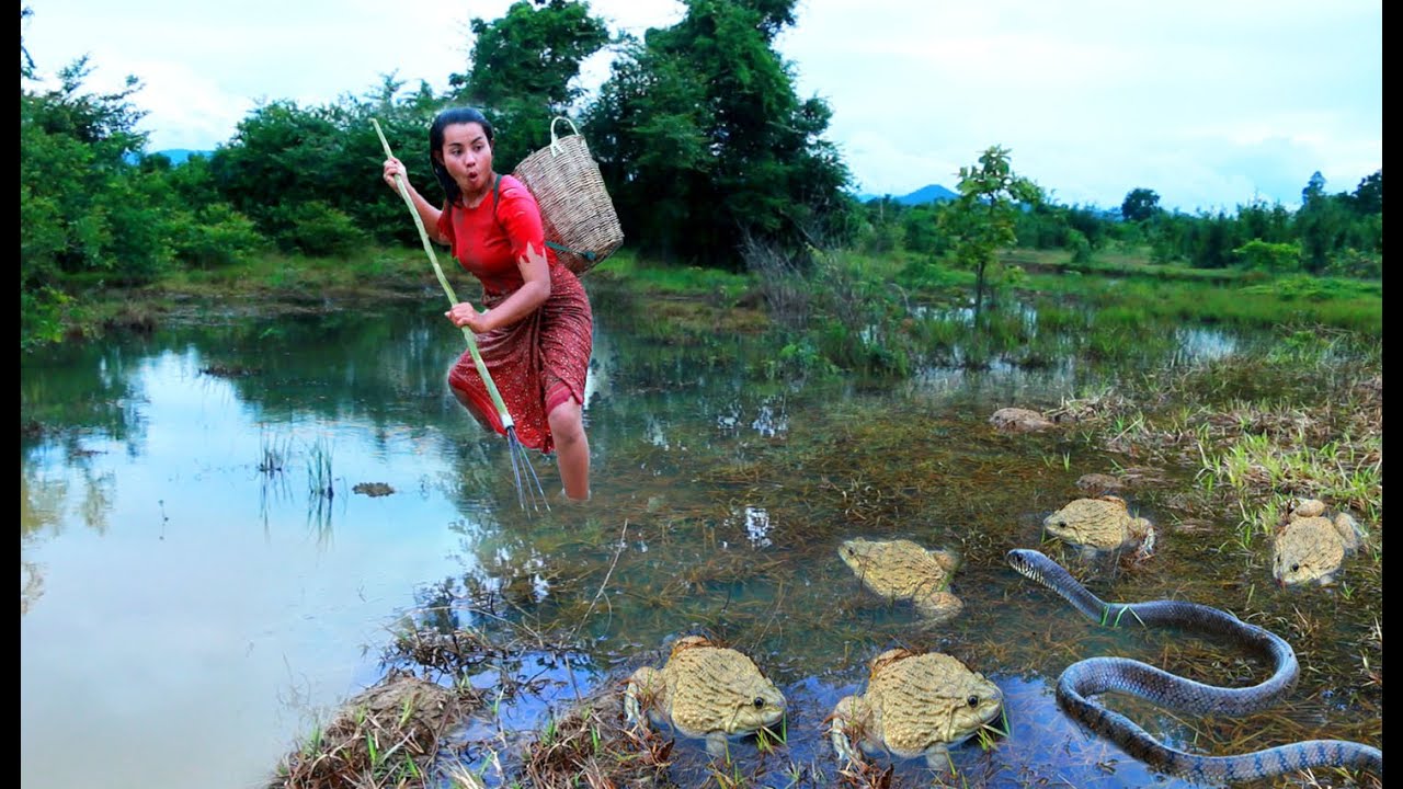 Women find food meet frog and big snake in forest - cooking snake ...