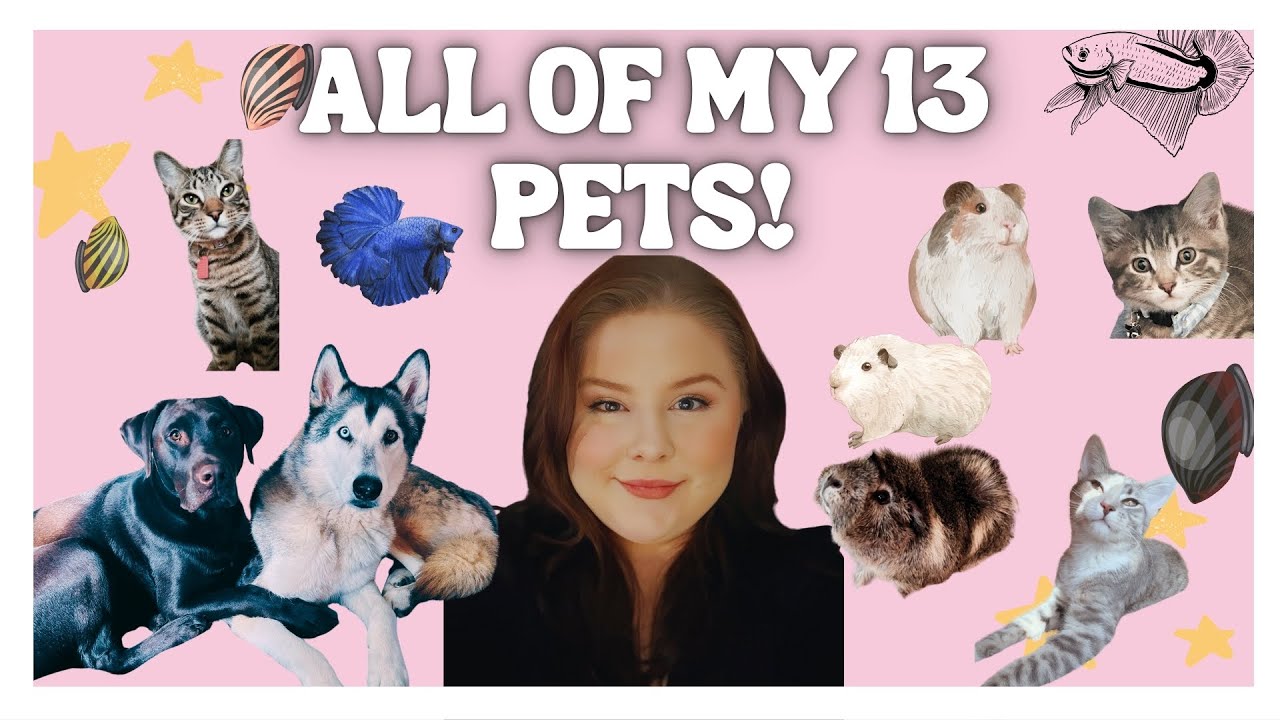 MEET ALL OF MY PETS | 2024 - YouTube