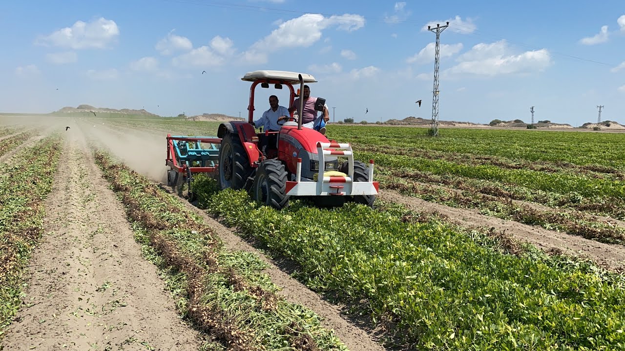 YER FISTIĞI ÇEVİRME MCCORMİCK C95 MAX - YouTube