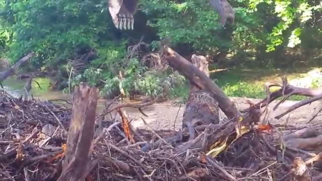 Clearing debris from a bridge after a flood - YouTube