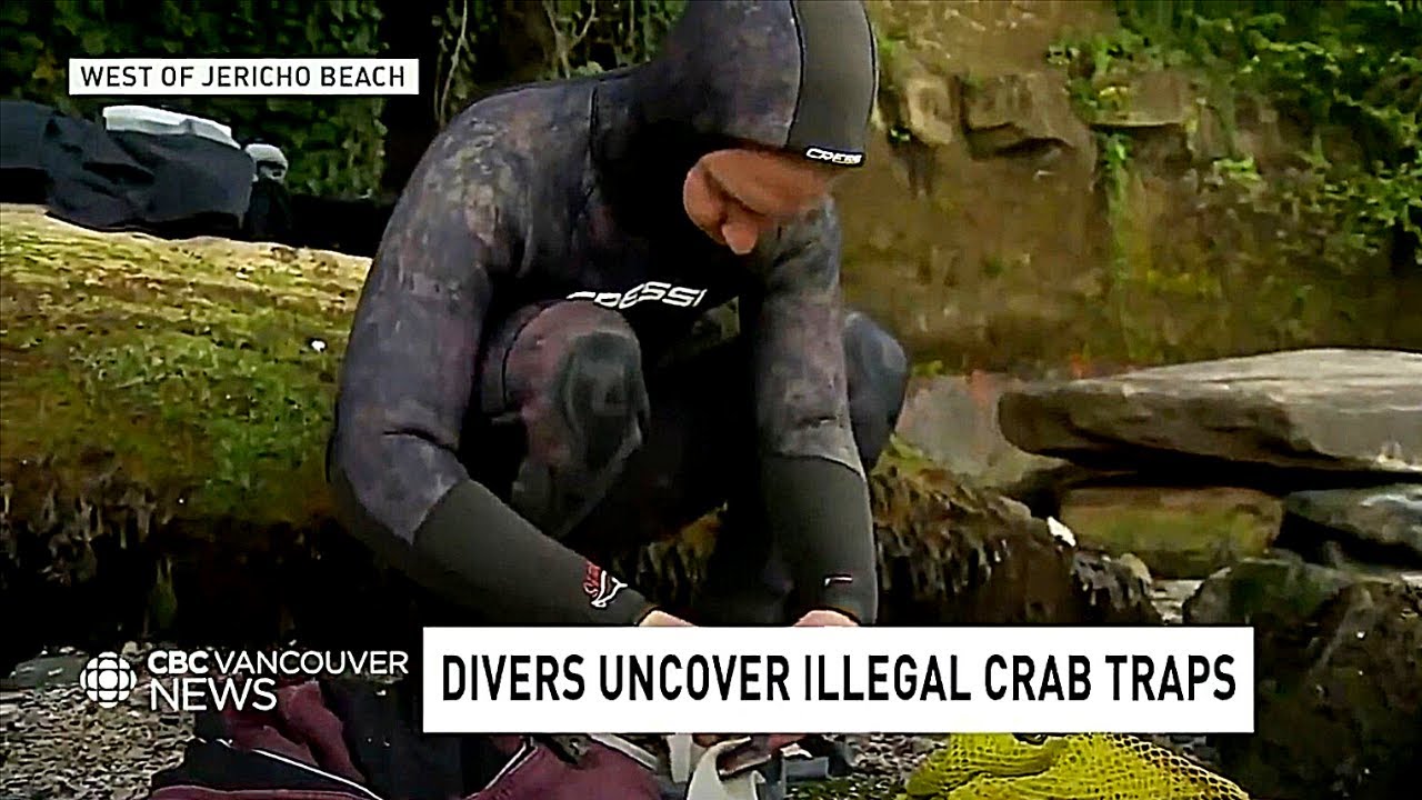 Found Over 250 Illegal Crab Traps YouTube found-over-250-illegal-crab-traps-youtube